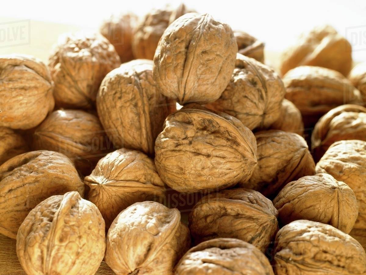 Walnuts - Stock Photo - Dissolve