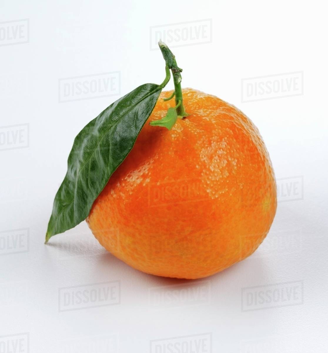 Clementine with leaf - Royalty-free Stock Photo | Dissolve