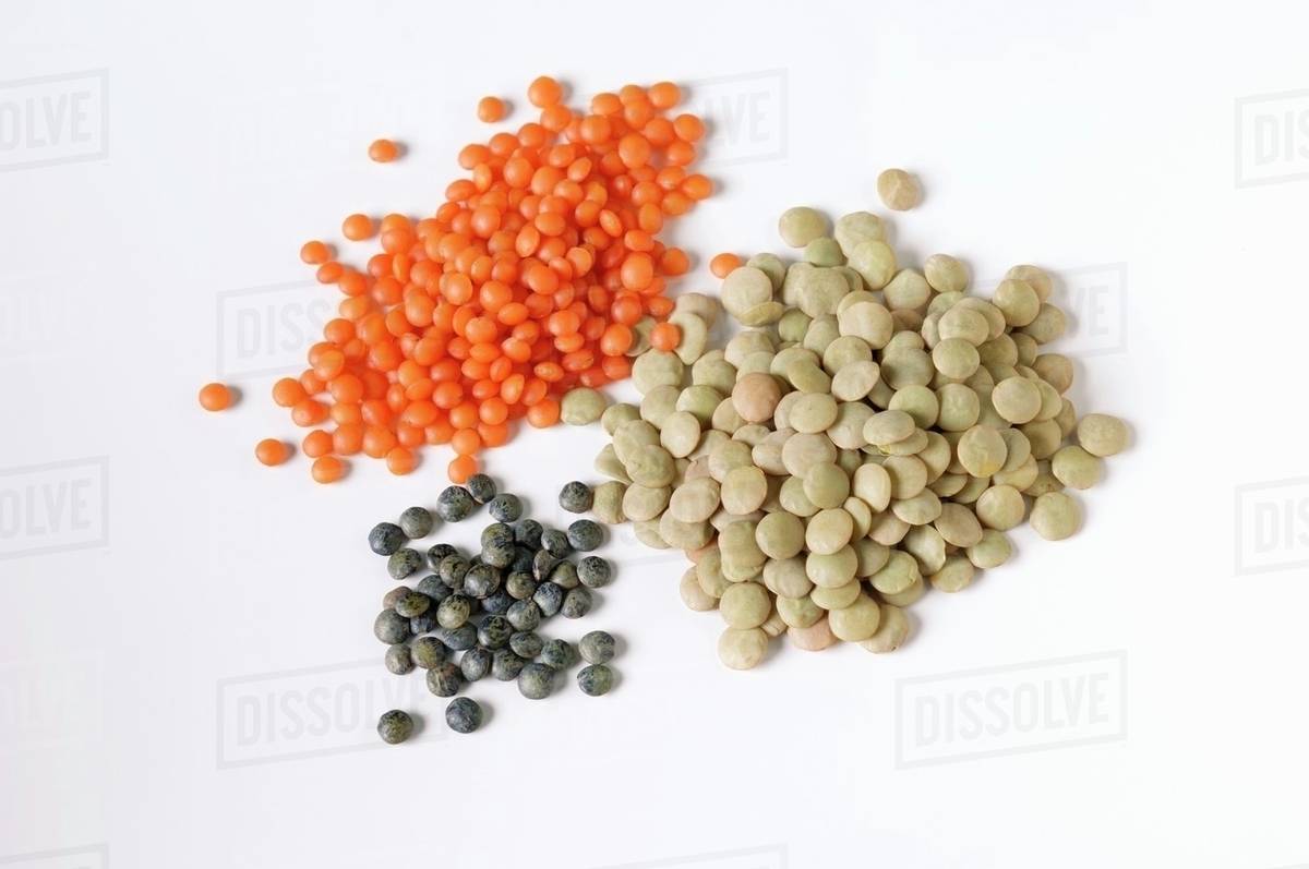 Various types of lentils - Stock Photo - Dissolve