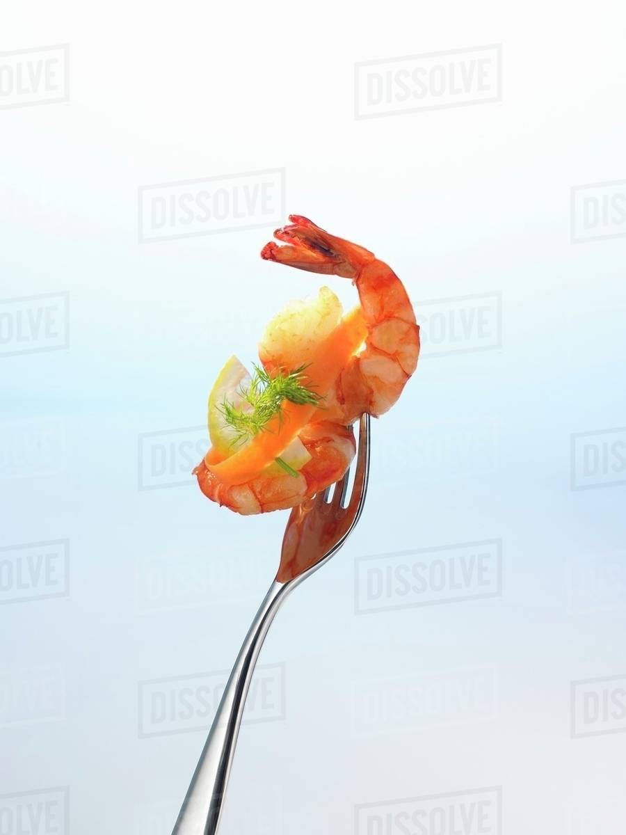 Two prawns on a fork - Stock Photo - Dissolve