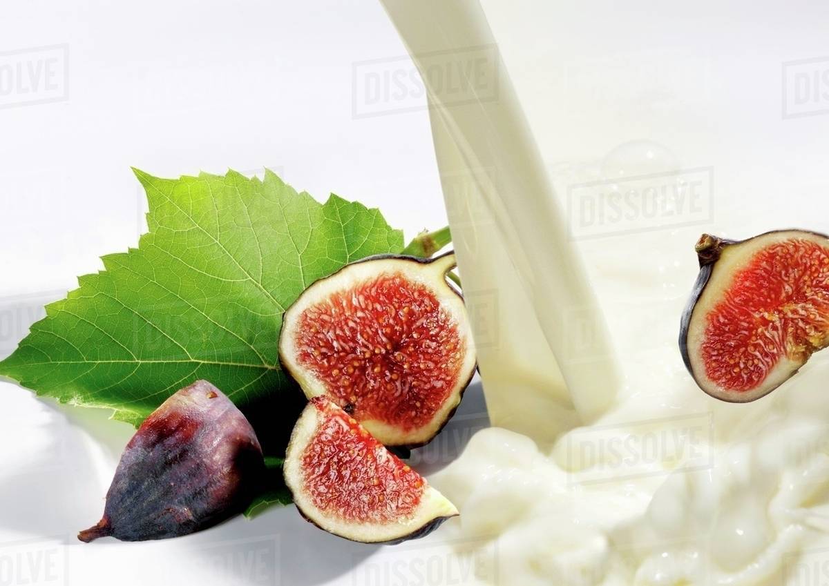 Milk and fresh figs - Stock Photo - Dissolve
