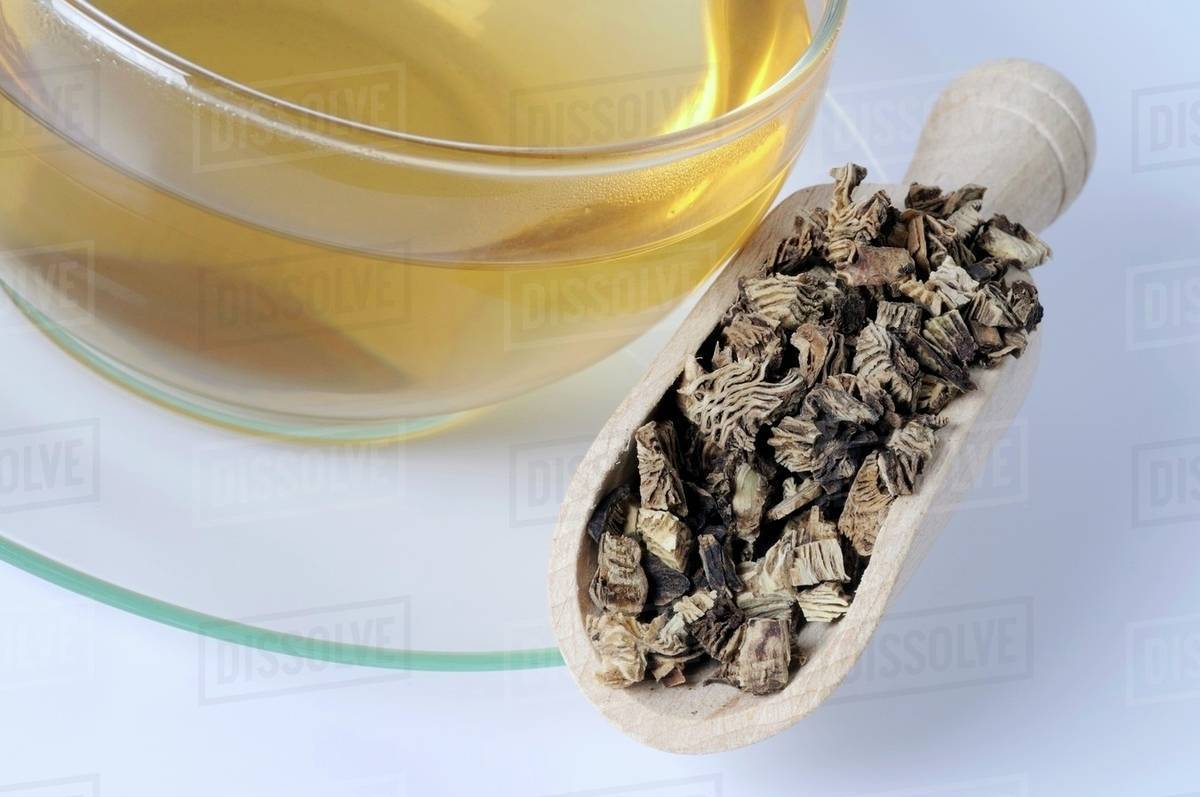 Cup of tea with dried black cohosh root in scoop - Royalty-free Stock ...