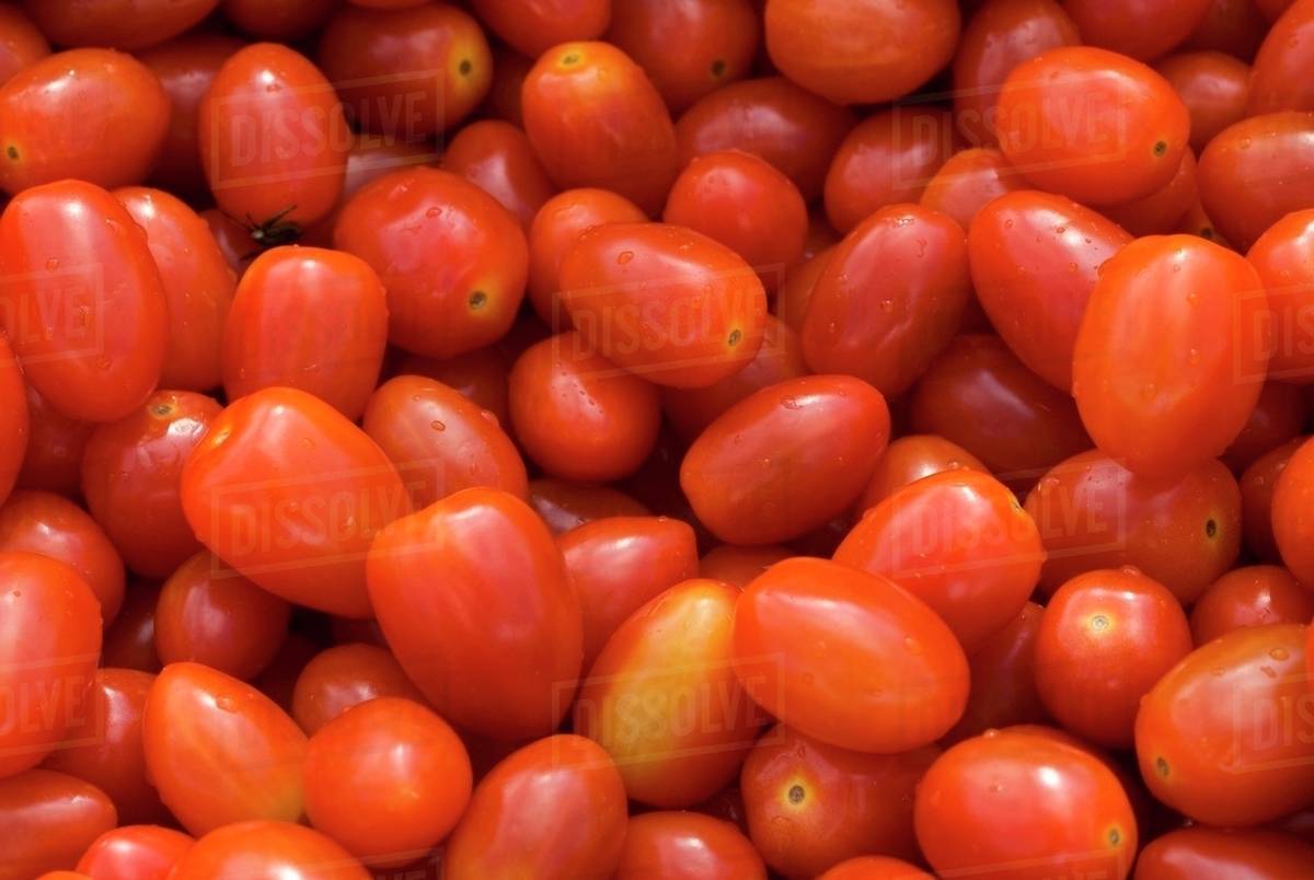 Many Fresh Grape Tomatoes - Royalty-free Stock Photo | Dissolve