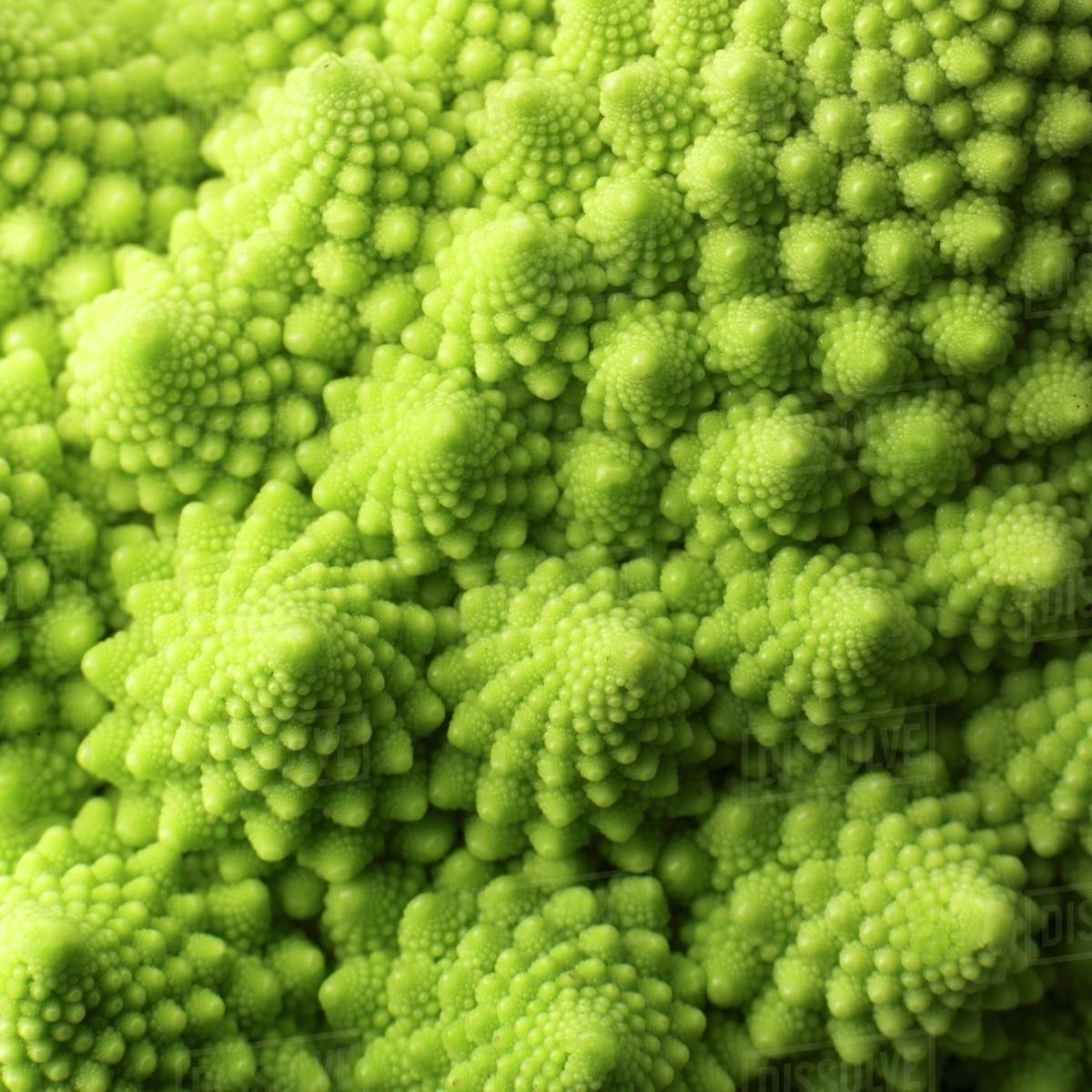 Romanesco broccoli (full-frame) - Royalty-free Stock Photo | Dissolve