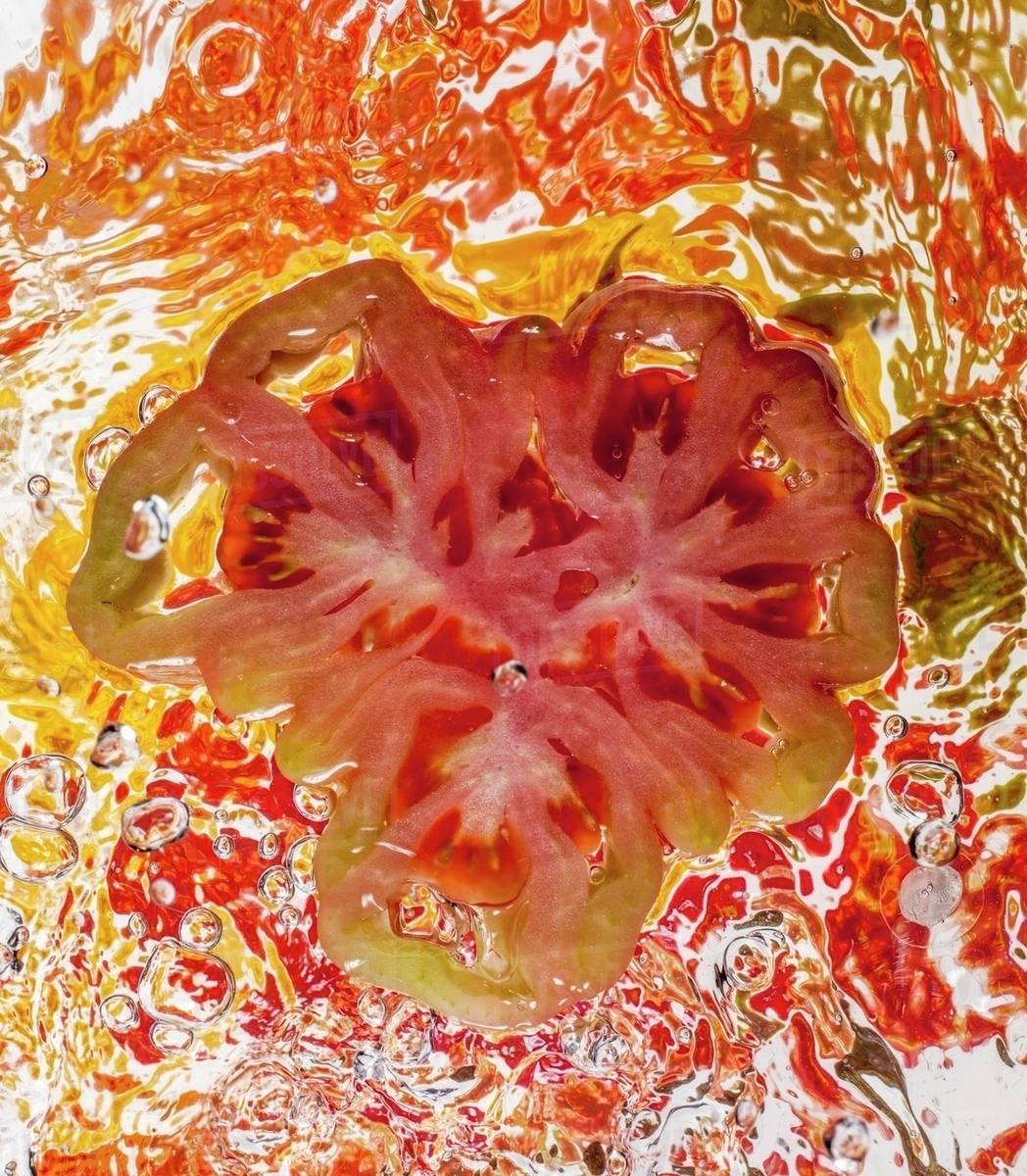 Oxheart tomato, one slice - Stock Photo - Dissolve