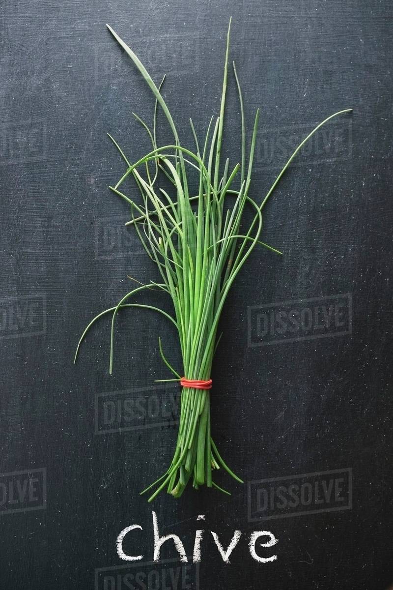 A bunch of chives on a chalkboard above the word 'Chive' - Royalty-free ...