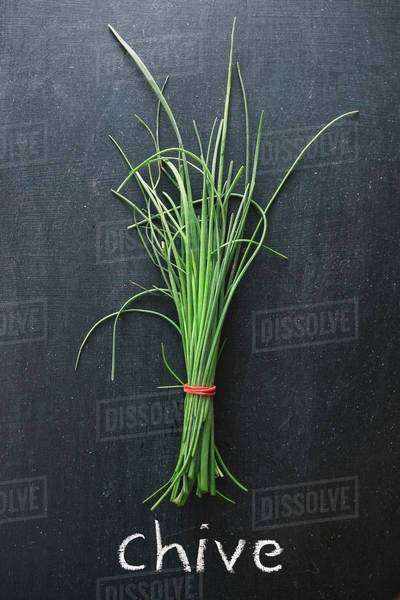 A bunch of chives on a chalkboard above the word 'Chive' - Royalty-free ...
