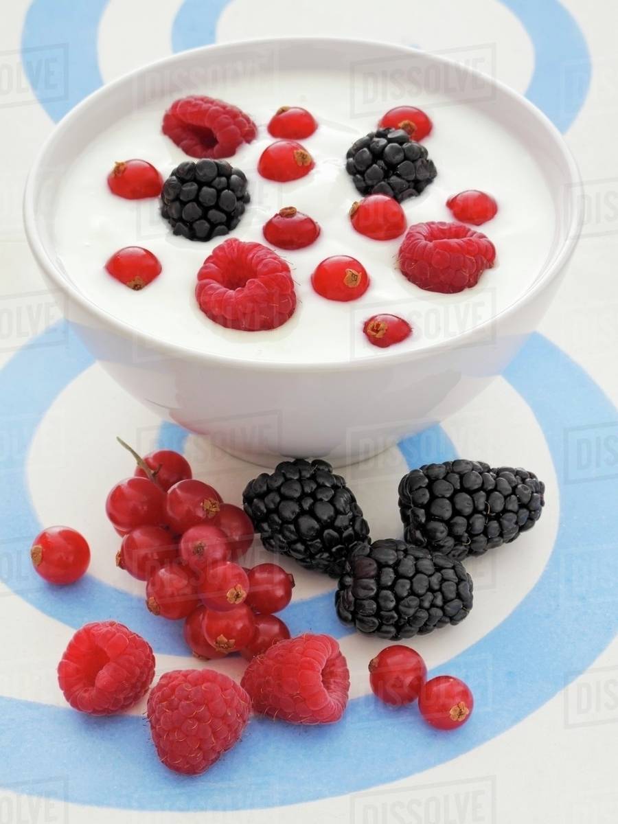 Yoghurt with fresh berries - Stock Photo - Dissolve