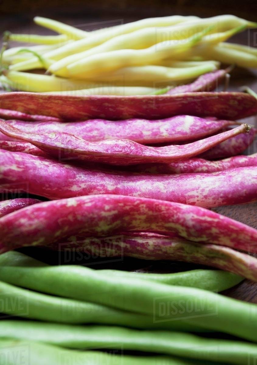 Yellow beans, borlotti beans and fava beans - Royalty-free Stock Photo ...