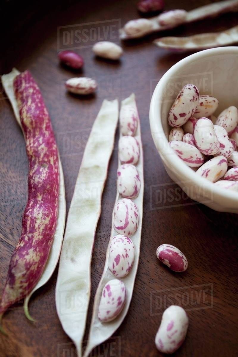 An arrangement of borlotti beans - Royalty-free Stock Photo | Dissolve