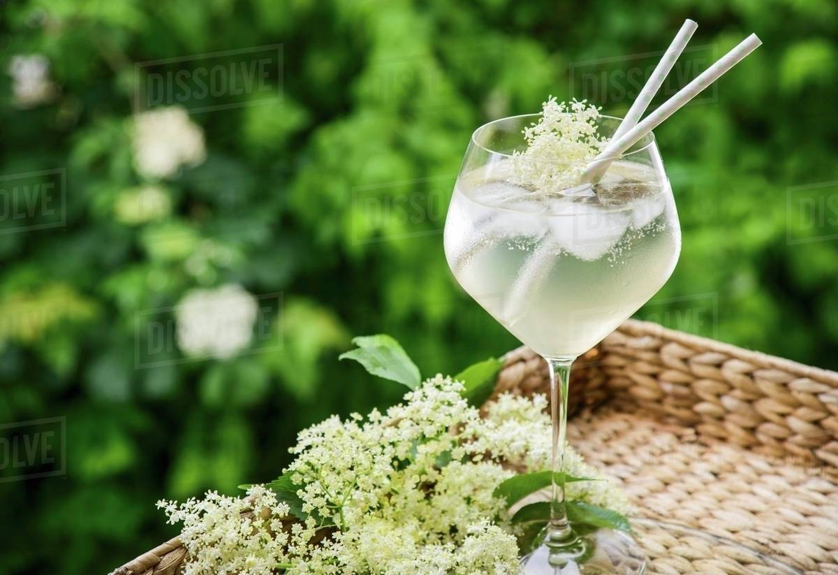 And elderflower cocktail on a cork tray in a garden - Stock Photo ...