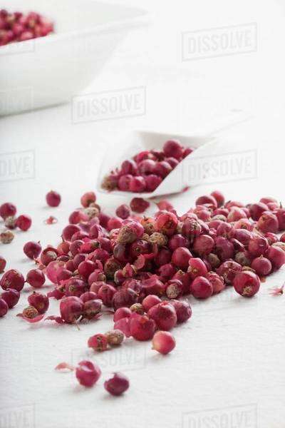 Sauco berries with a scoop - Stock Photo - Dissolve