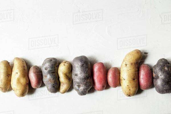 A row of various potatoes - Royalty-free Stock Photo | Dissolve