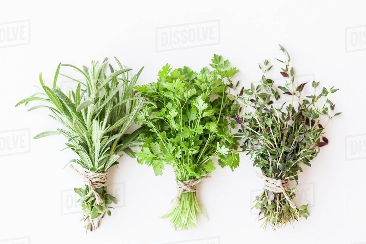Three bunches of fresh herbs: rosemary, coriander and thyme - Royalty ...