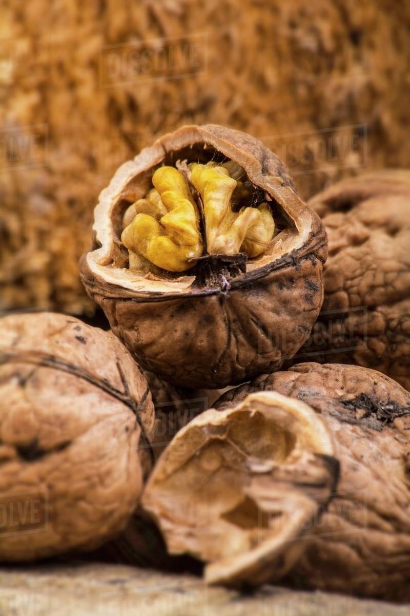 Walnuts (close-up) - Royalty-free Stock Photo | Dissolve