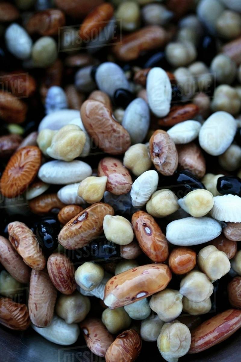 Various types of dried beans - Royalty-free Stock Photo | Dissolve