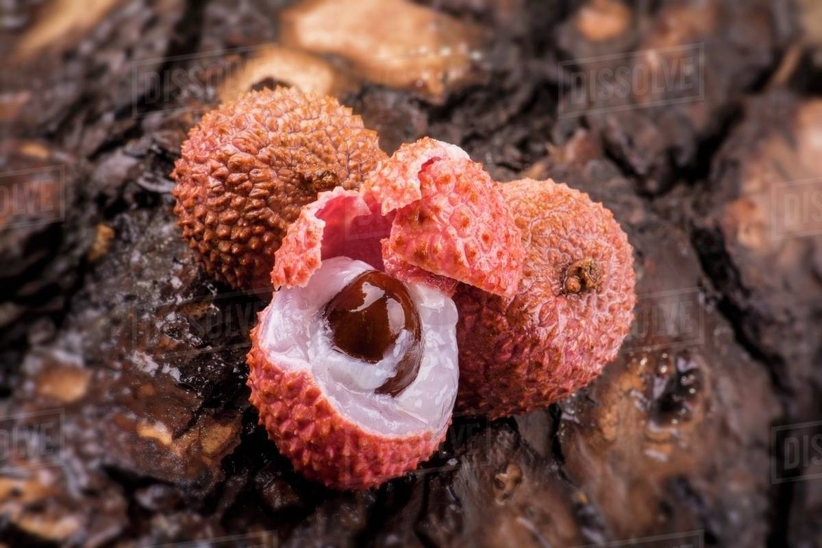 Lychees on a wooden surface - Royalty-free Stock Photo | Dissolve