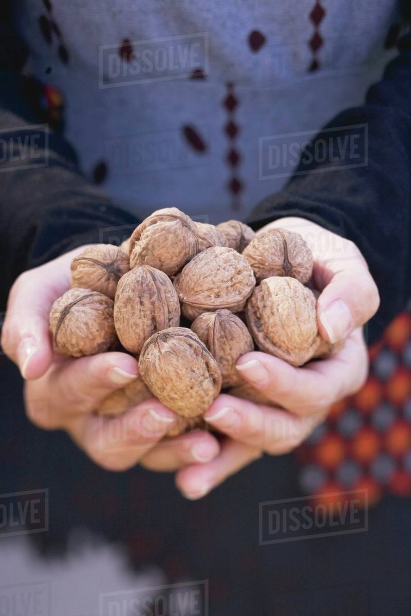 A woman holding walnuts - Royalty-free Stock Photo | Dissolve