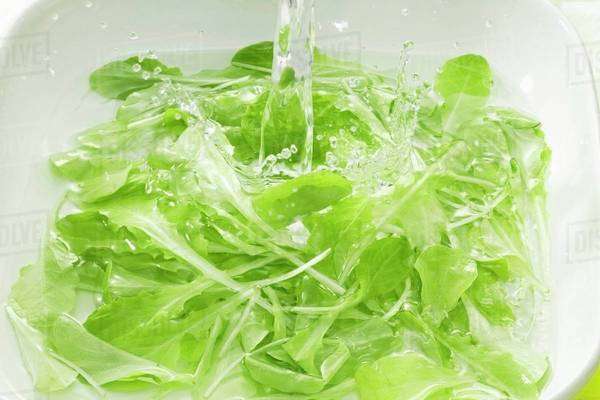 Green salad in water - Stock Photo - Dissolve