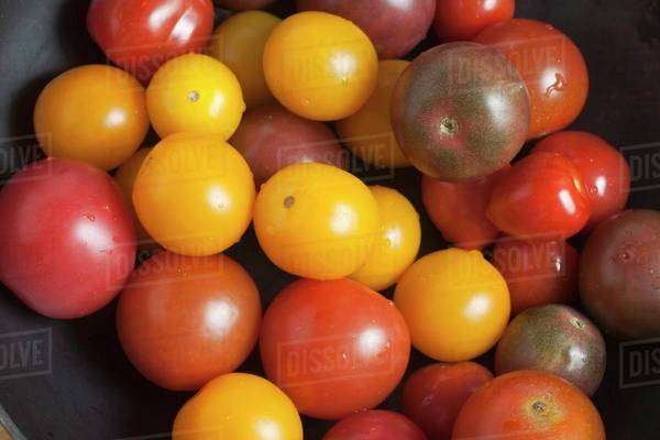 Colorful Mini Heirloom Tomatoes - Royalty-free Stock Photo | Dissolve