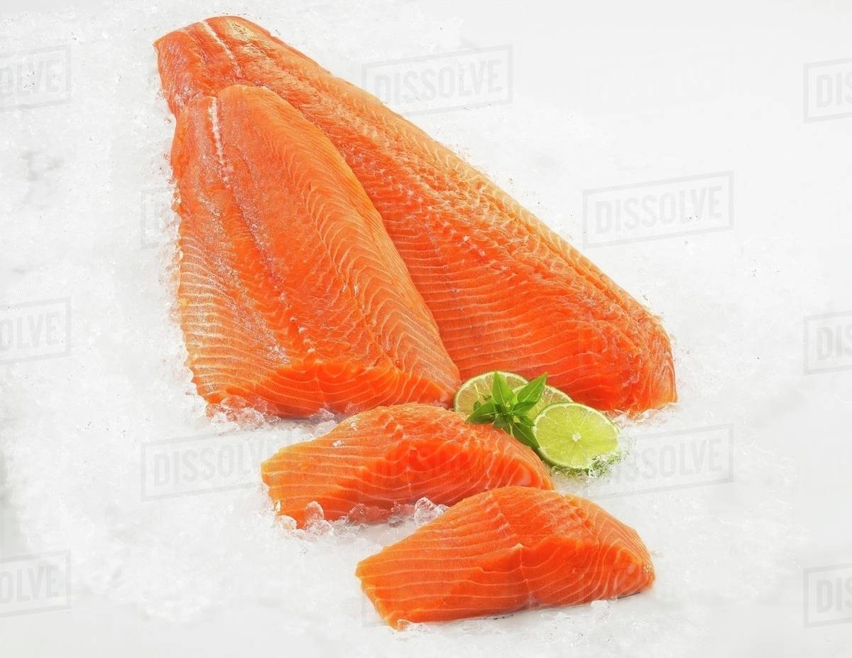 Salmon fillet on ice - Royalty-free Stock Photo | Dissolve