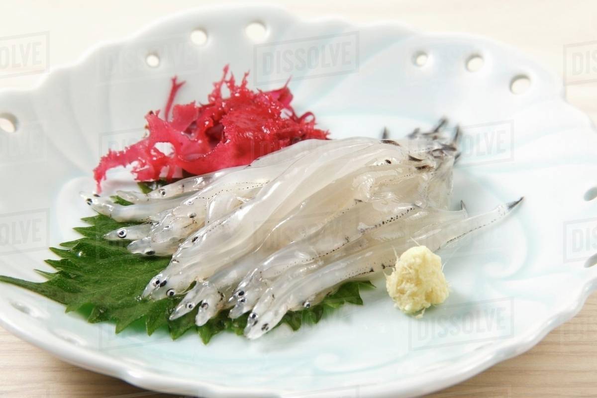Salangidae sashimi on a shiso leaf (Japan) - Royalty-free Stock Photo ...