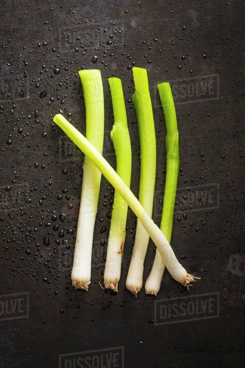 Five spring onions - Royalty-free Stock Photo | Dissolve