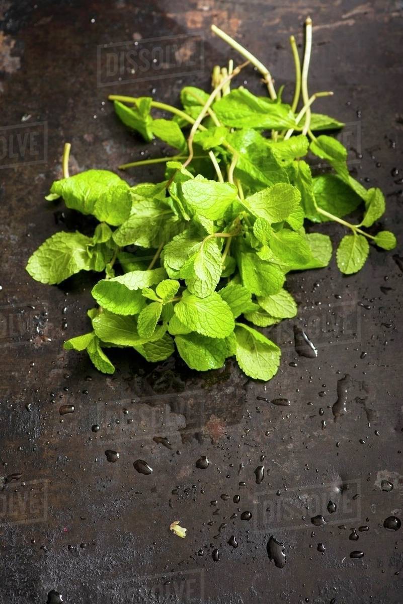 Freshly washed mint (seen from above) - Royalty-free Stock Photo | Dissolve