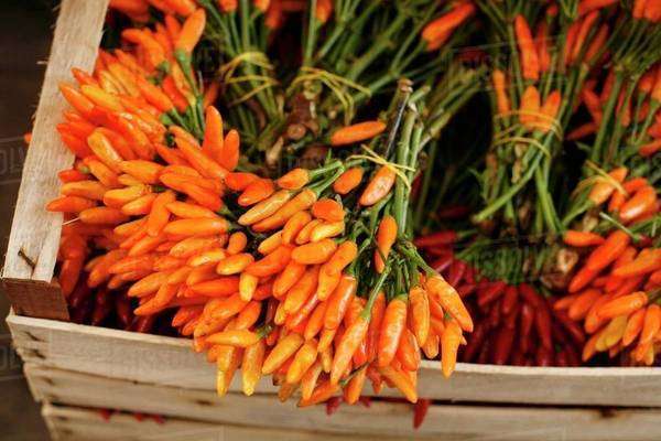 Bundles of fresh chilli peppers in a crate at a market - Royalty-free ...