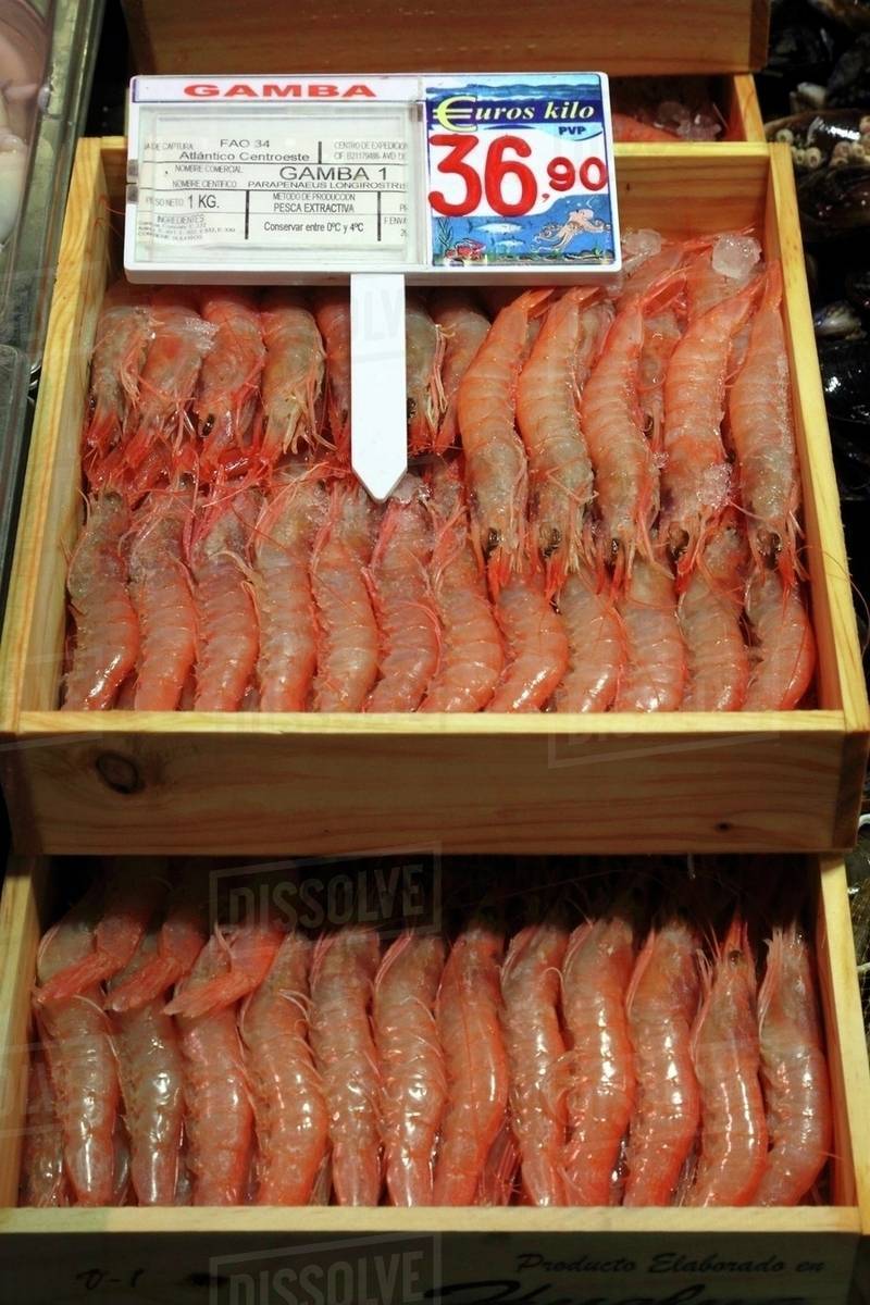 Fresh gambas at a fish market in Bilbao, Basque Country, Spain - Stock ...