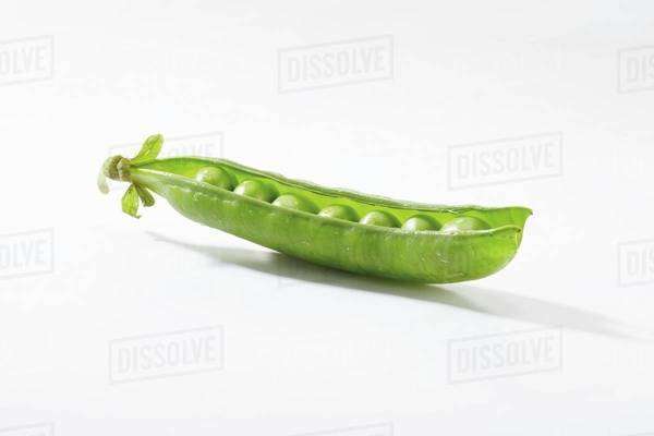 Pea pod, opened - Royalty-free Stock Photo | Dissolve