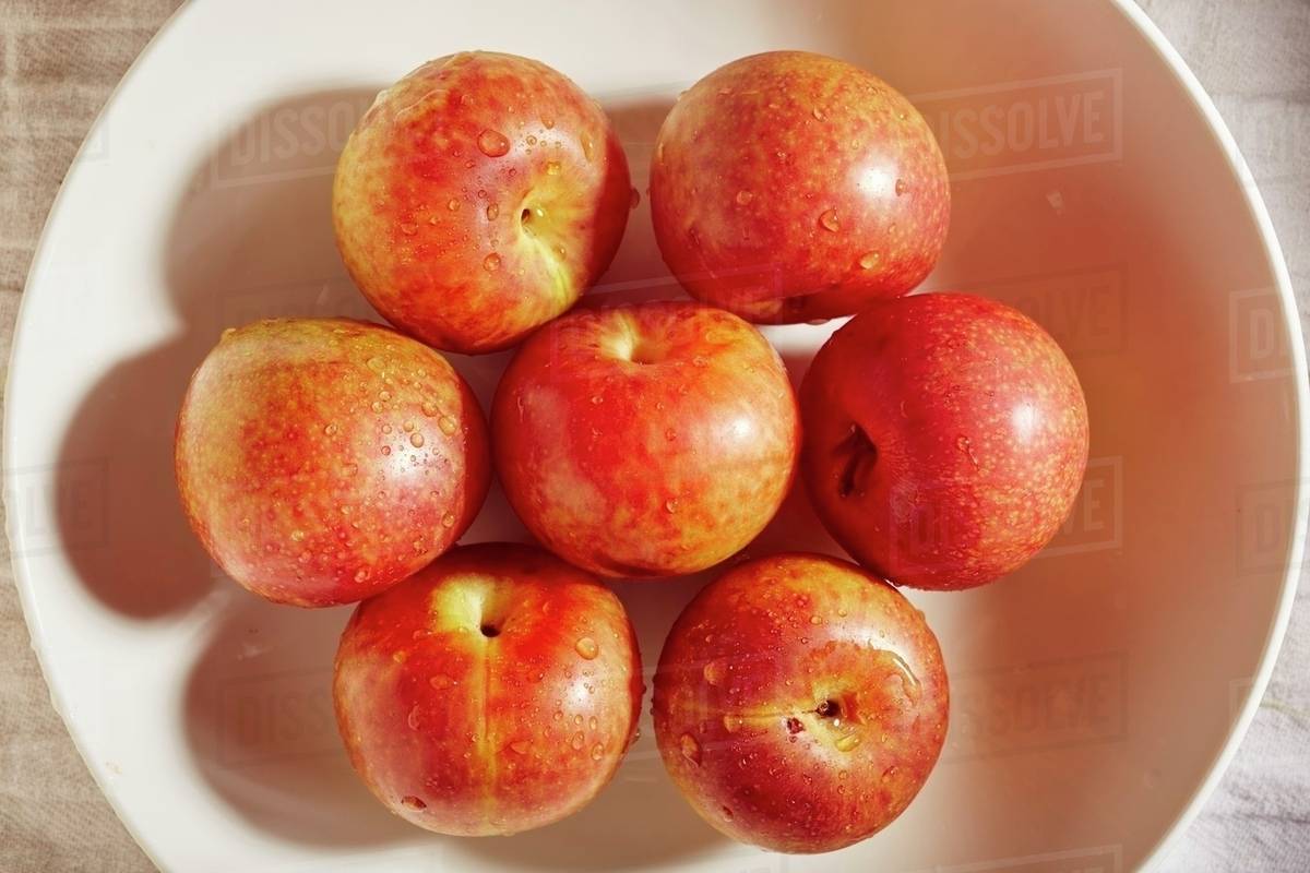 Seven red plums on a plate (seen from above) - Royalty-free Stock Photo ...
