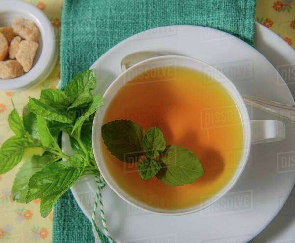Peppermint tea with peppermint leaves - Stock Photo - Dissolve