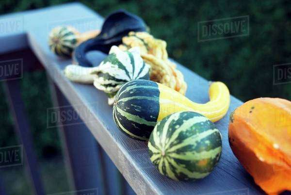 Various types of squash on a balcony ledge - Royalty-free Stock Photo ...