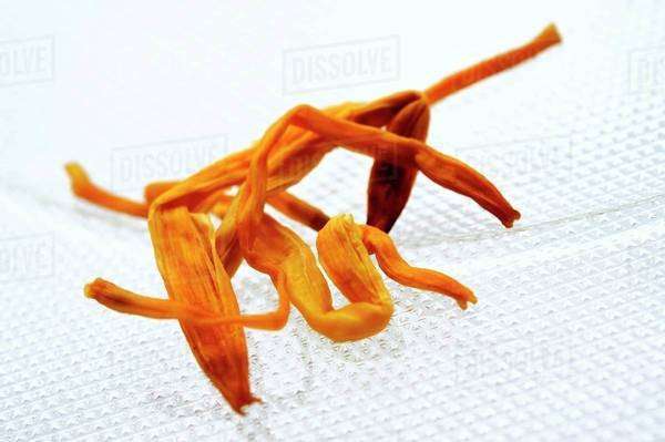 Dried lilly flowers (Thailand) - Royalty-free Stock Photo | Dissolve