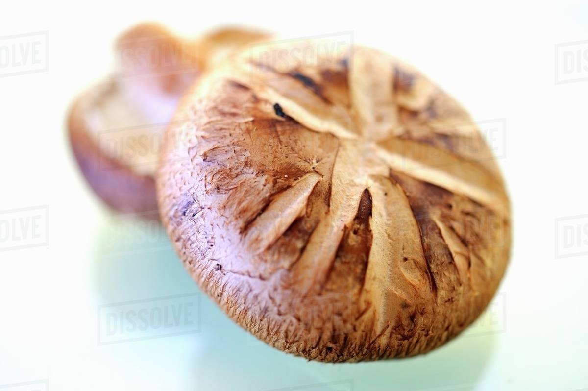 Fresh shiitake mushrooms - Royalty-free Stock Photo | Dissolve