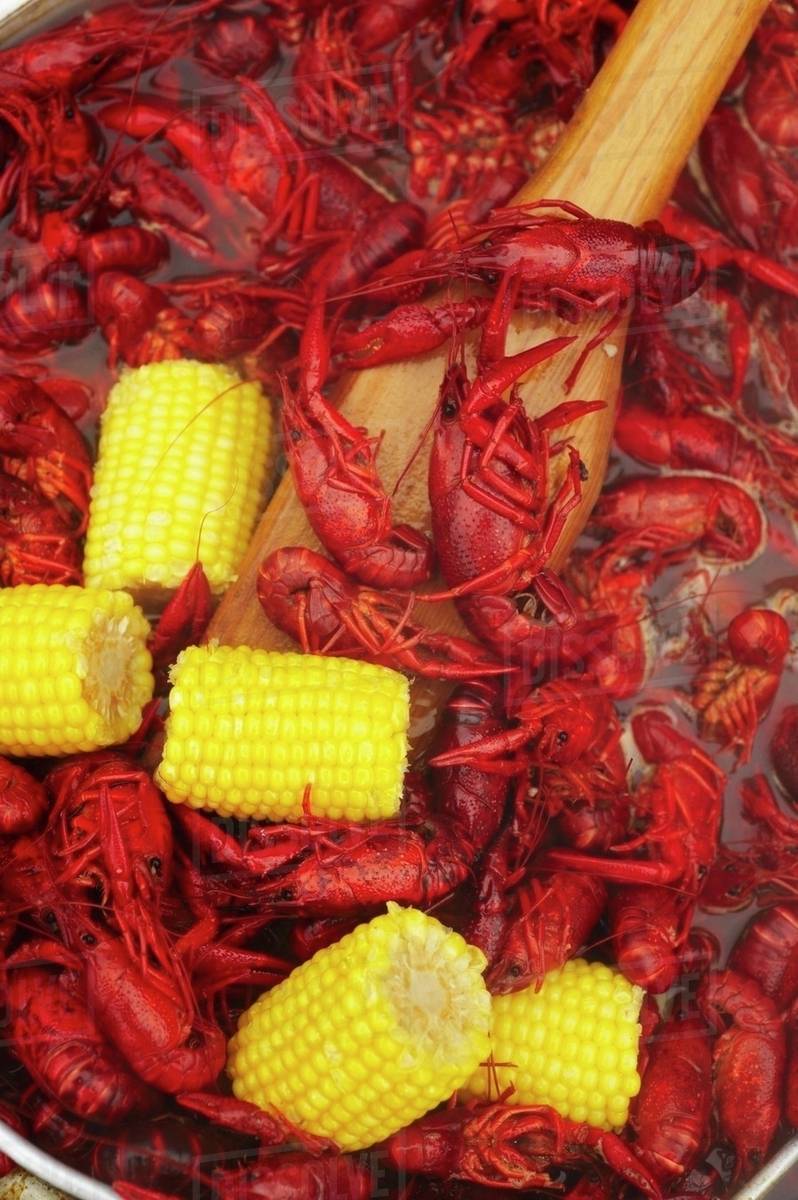 Cajun Crawfish Boil with Corn on the Cob - Royalty-free Stock Photo ...