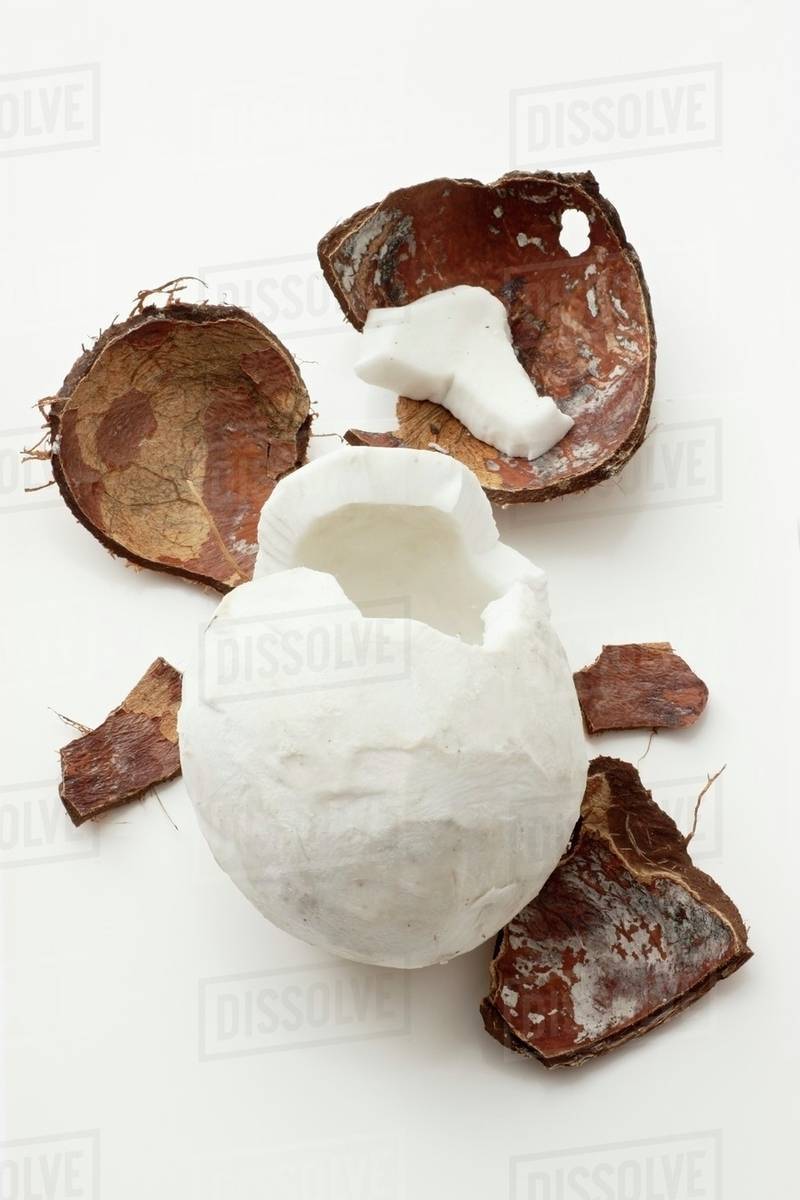 A coconut, broken open - Royalty-free Stock Photo | Dissolve