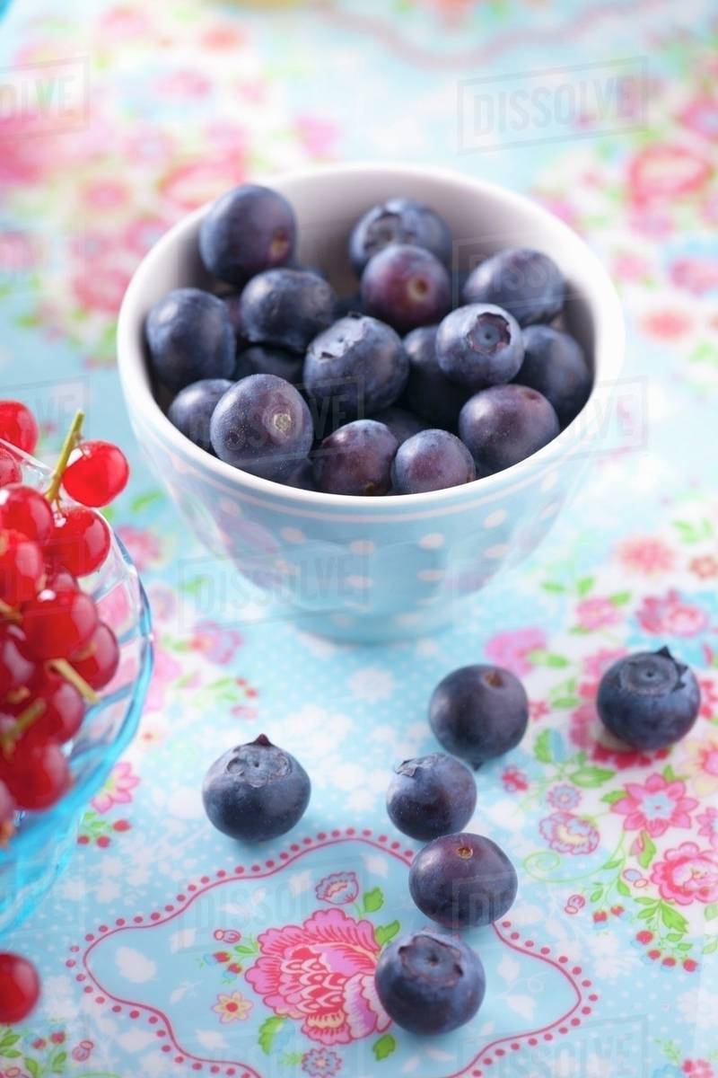 Fresh blueberries in a bowl - Royalty-free Stock Photo | Dissolve