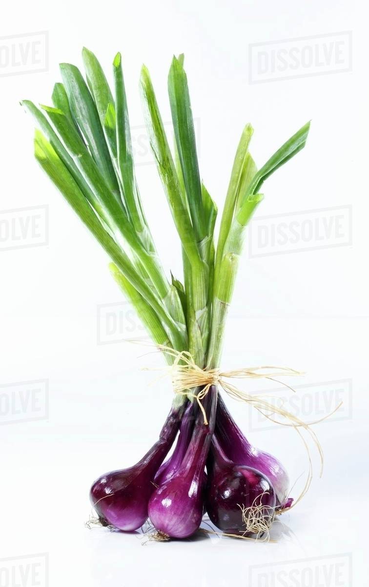 A bunch of red spring onions - Royalty-free Stock Photo | Dissolve