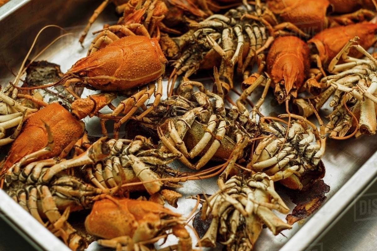 Roasted crayfish bones - Royalty-free Stock Photo | Dissolve