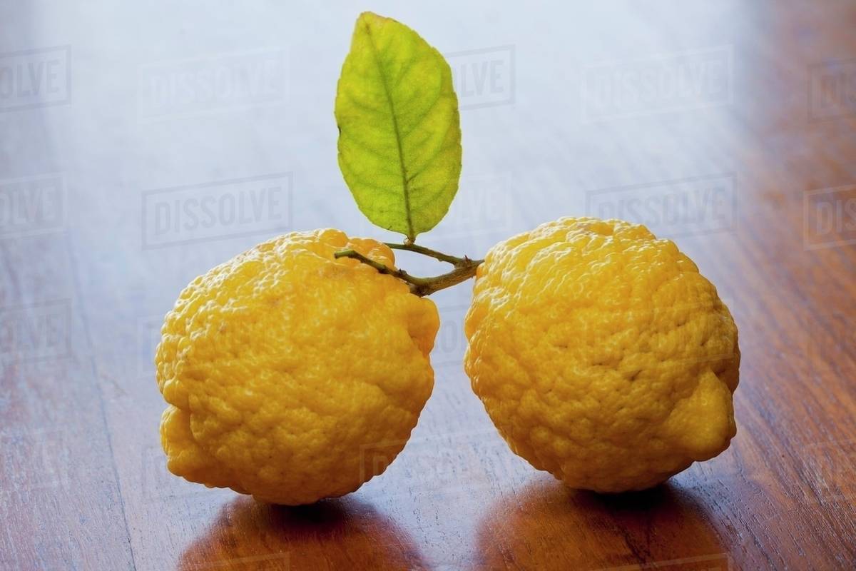Two lemons with leaf - Royalty-free Stock Photo | Dissolve