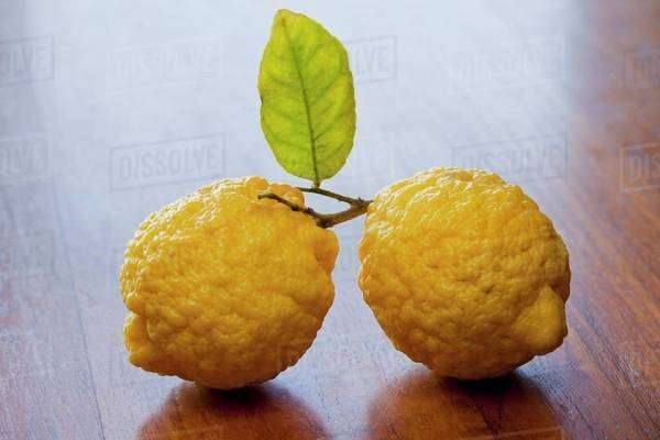 Two lemons with leaf - Royalty-free Stock Photo | Dissolve