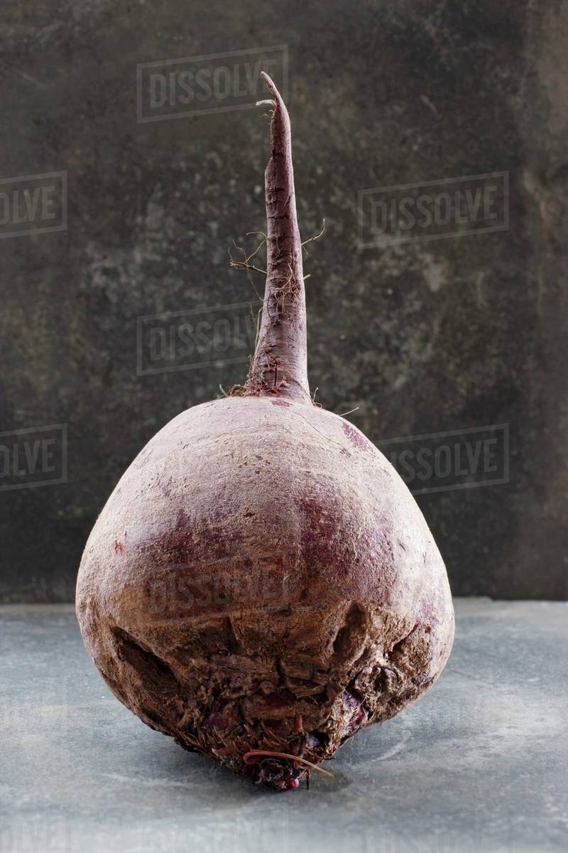 A red beet tuber - Royalty-free Stock Photo | Dissolve