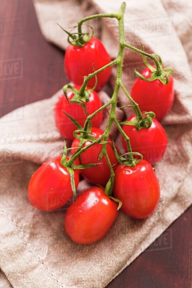 Roma tomatoes on the vine - Stock Photo - Dissolve