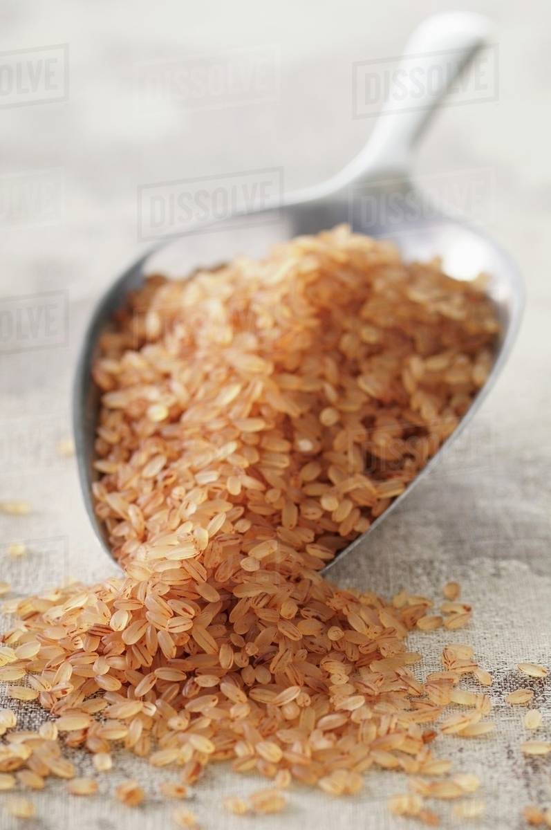 Riz tigre (red rice) - Royalty-free Stock Photo | Dissolve