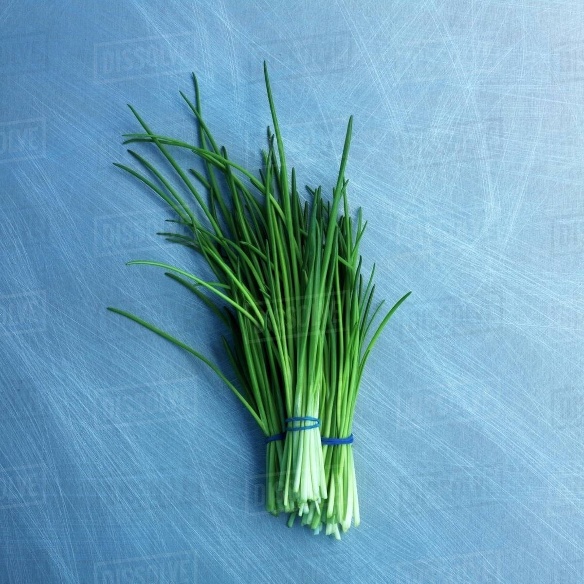 Bunches of chives (seen from above) - Royalty-free Stock Photo | Dissolve