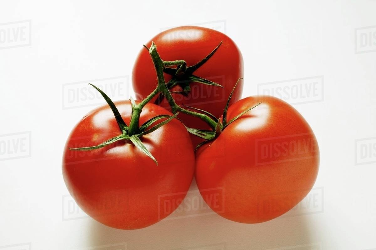 Fresh tomatoes - Royalty-free Stock Photo | Dissolve
