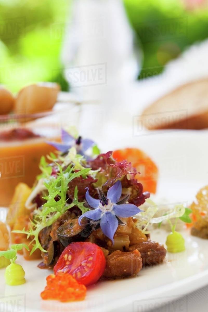 Mediterranean vegetable ragout with a mixed leaf salad and borrage ...