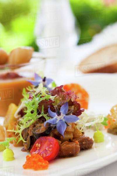 Mediterranean vegetable ragout with a mixed leaf salad and borrage ...